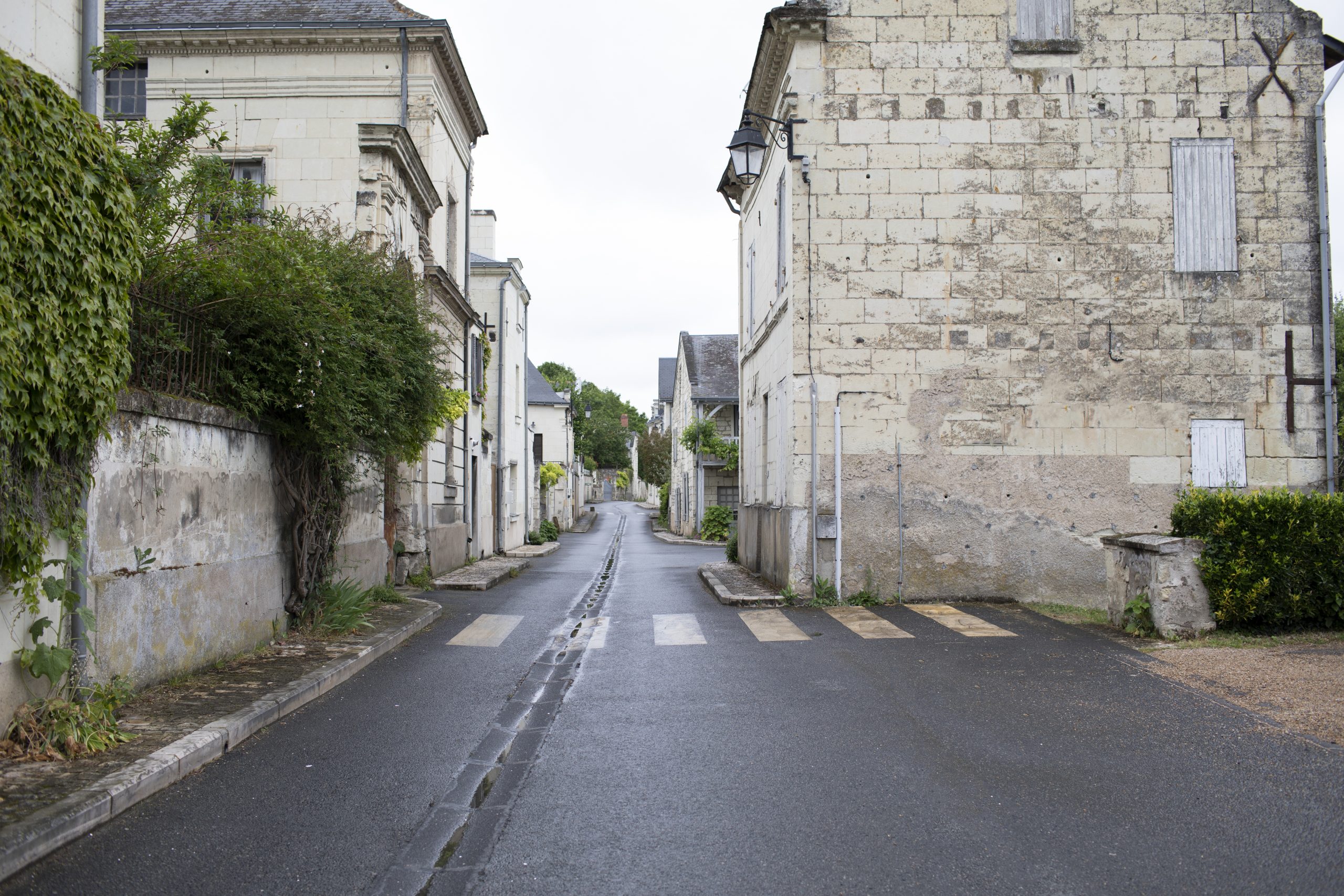 Dog Friendly Castles of the Loire River Valley – Dont Stop Retrieving